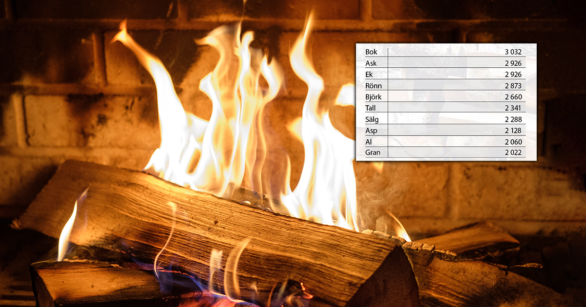 Bästa veden för brasan - Maskinklippet.se